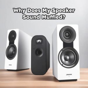 why does my speaker sound muffled? my speaker sounds muffled | Digimigia